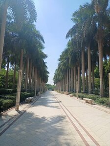 Kültür ve eğlence parkları El-Ezher Parkı, Kahire, foto