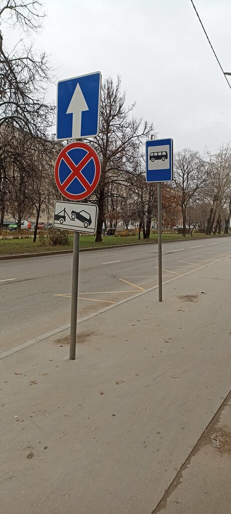 Toplu taşıma durağı Dobrolyubova Street, Moskova, foto