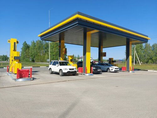 Benzin istasyonu Rosneft, Tomskaya oblastı, foto