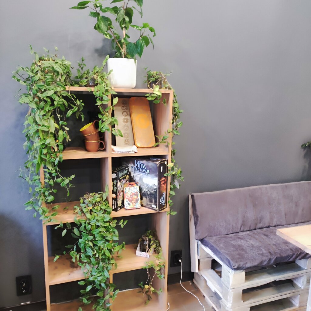 Kahve dükkanları Пространство, Altay Cumhuriyeti, foto