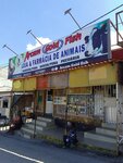 Arcam gold fish (Luanda Province, Municipality of Luanda, Catambor), veteriner eczaneleri  Loanda'dan