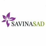 Savinasad (ulitsa Bolshaya Doroga No:80, selo Borisovskoye), fidan yetiştiriciliği  Vladimirskaya oblastından