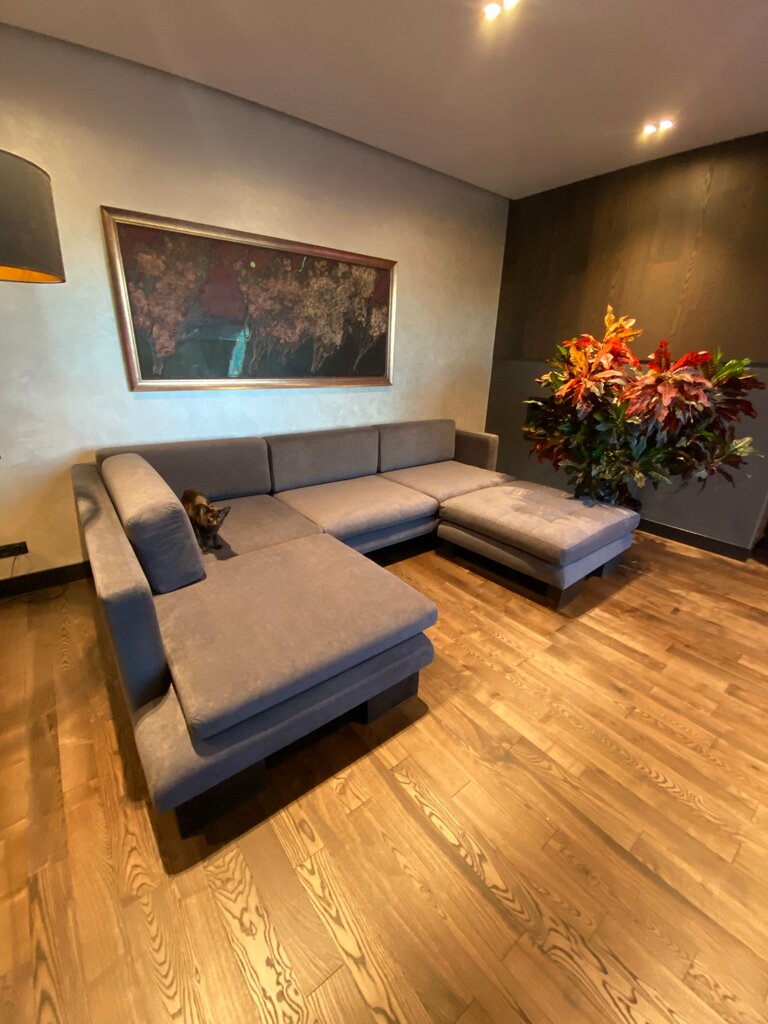 Mobilya tamir, tadilat Standart Restoration, Habarovsk, foto