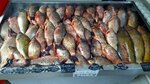 Рыбный причал (Vostochnaya ulitsa No:33, rabochiy posyolok Chernyshkovskiy), balık ve deniz ürünleri  Volgogradskaya oblastından