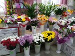 Магазин цветов (Proletarskaya Street No:18), çiçekçiler  Kirov'dan