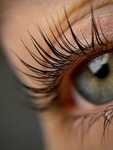 Dikova. brows (Voroshilovskiy Avenue No:57), kaş ve kirpik salonu  Rostov‑na‑Donu'dan