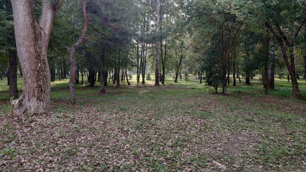 Kültür ve eğlence parkları Яблоневый сад, Yegoryevsk, foto
