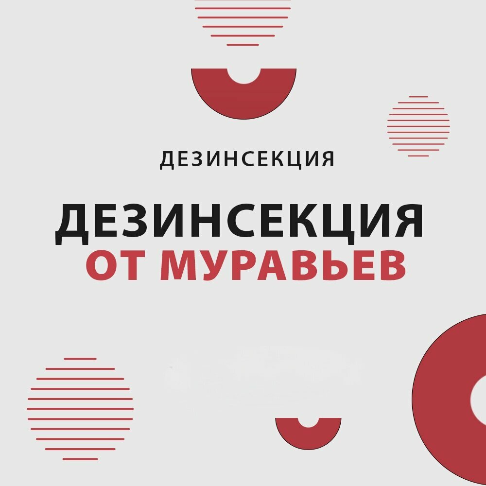 Haşere ilaçlama firmaları Azimuth, Kemerovo, foto