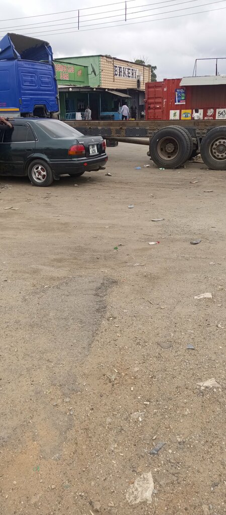 Balık ve deniz ürünleri Yalelo Fish, Lusaka, foto