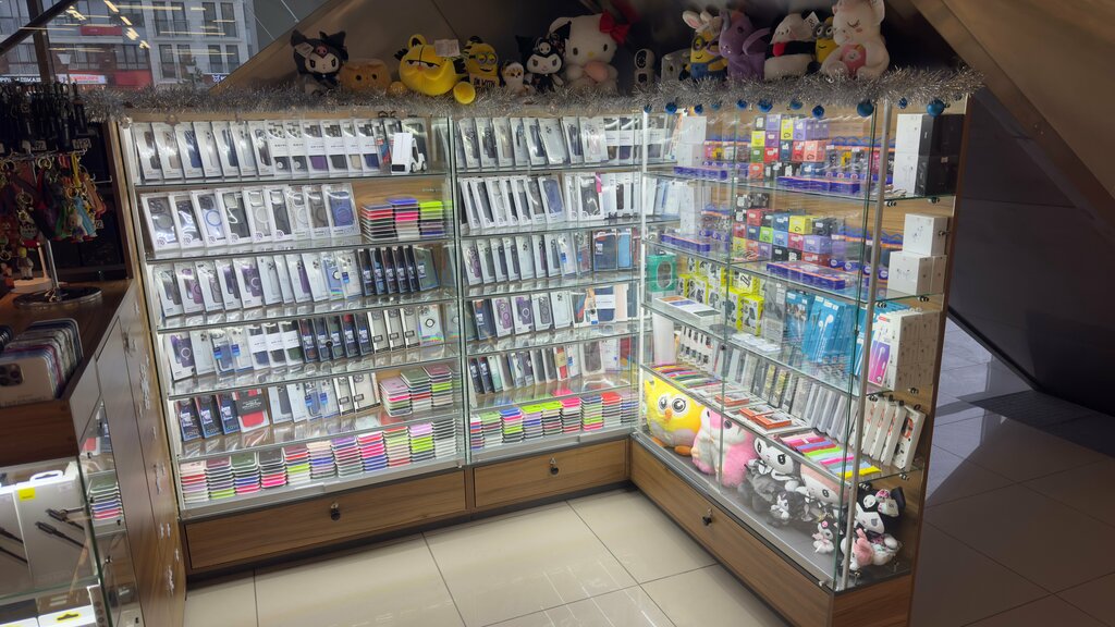 Cep telefonu aksesuarları Pro Mobile, Moskova, foto