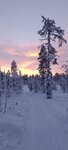 Aurora-murmansk (Mikhaila Ivchenko Drive No:8), seyahat acenteleri  Murmansk'tan