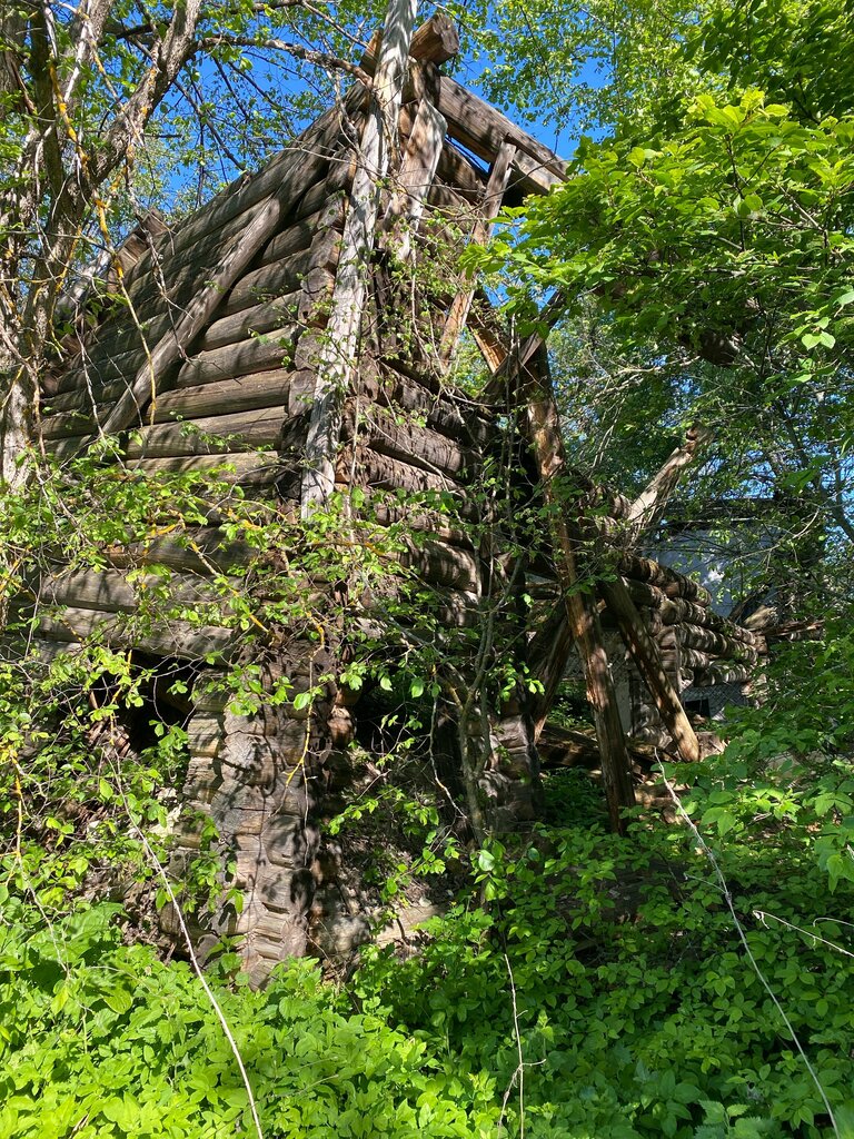 Turistik yerler Руины усадьбы Салтыковой, Saratovskaya oblastı, foto