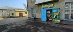 Edem (Mukhtar Auezov Street No:173), market  Petropavl'dan (Petropavlovsk'tan)