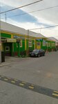 Sandugash (Mahanbetov kóshesі No:21, Shymkent), anaokulları  Çimkent'ten (Şımkent'ten)
