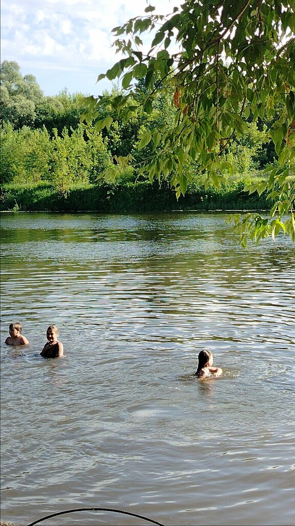 Tatil köyleri Охотничьи просторы, Tambovskaya oblastı, foto