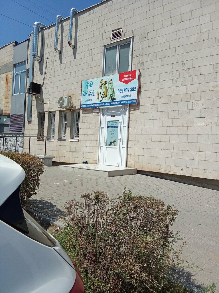 Veteriner laboratuvarı Vet-Life, Kişinev, foto