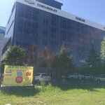 Art flowers (Táýelsizdik dańǵyly No:19), çiçekçiler  Astana'dan
