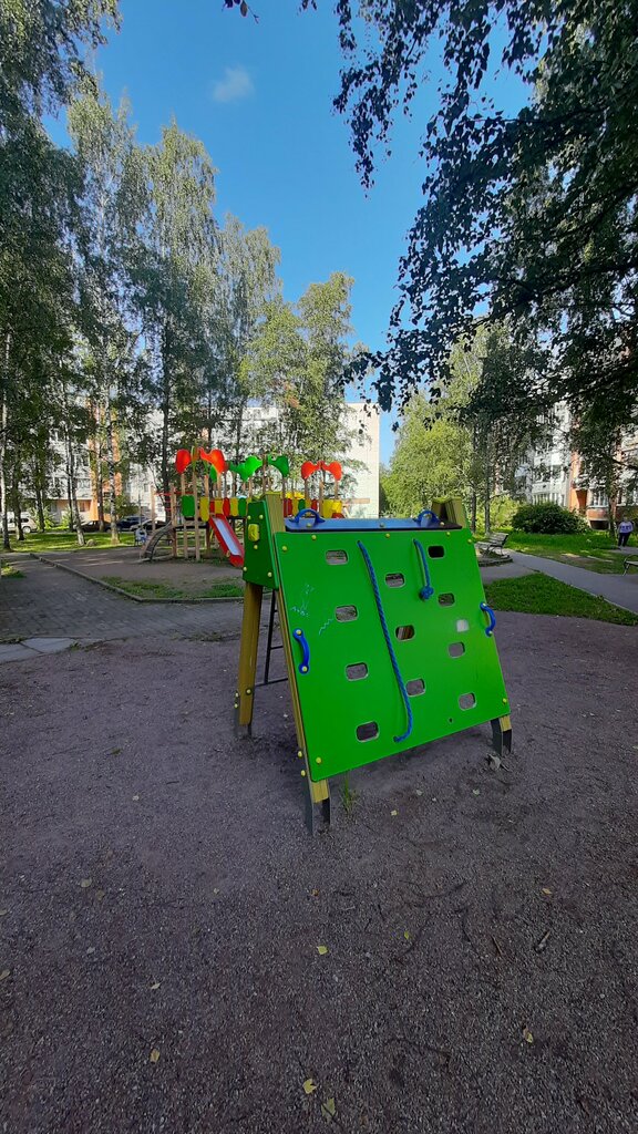 Oyun alanı Playground, Sosnoviy Bor, foto