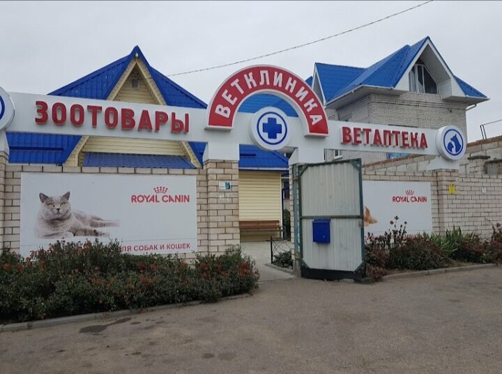Veteriner klinikleri Энималс, Bobruisk, foto