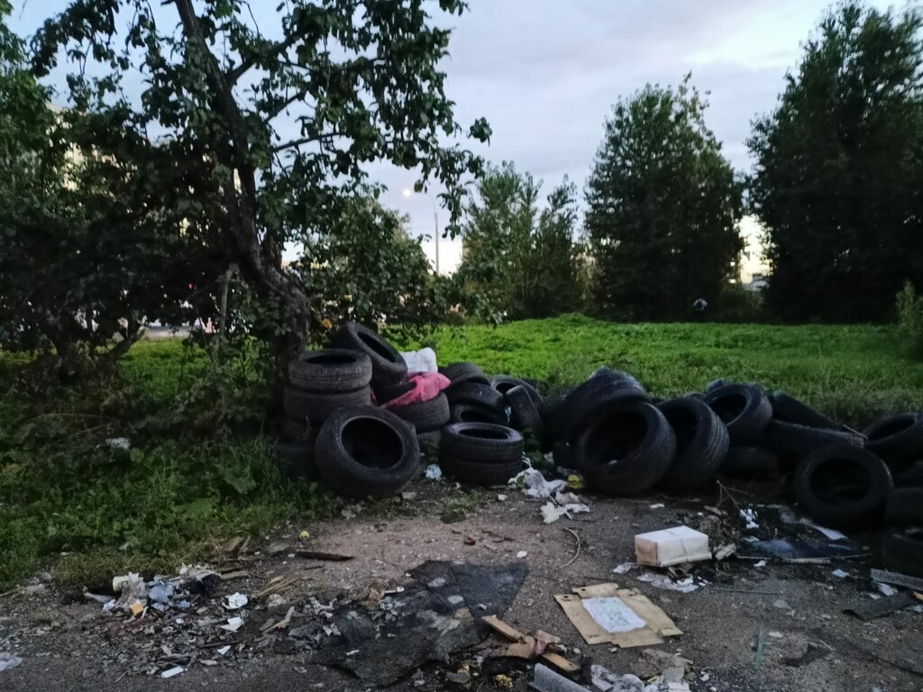 Çöp alanları Trash and garbage disposal area, Saint‑Petersburg, foto