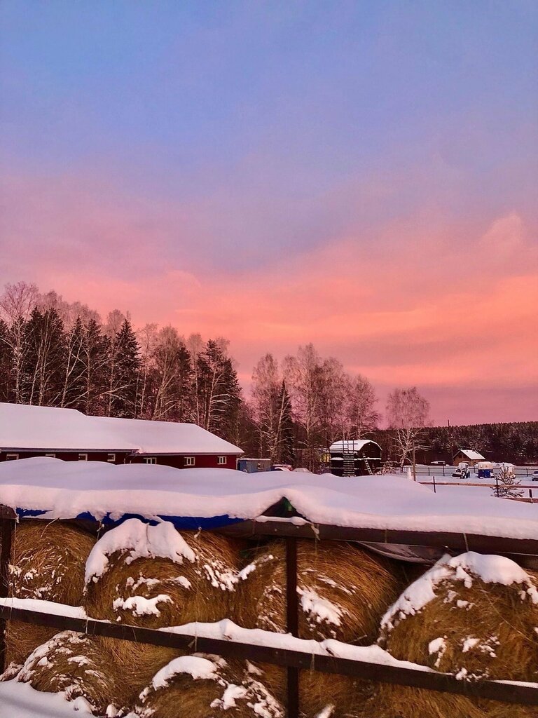 At ve binicilik kulüpleri Асгард, Sverdlovskaya oblastı, foto