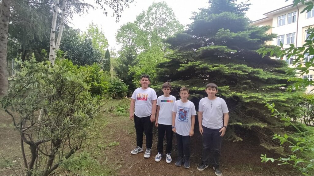 Ortaokul Mimar Sinan Ortaokulu, Ortahisar, foto