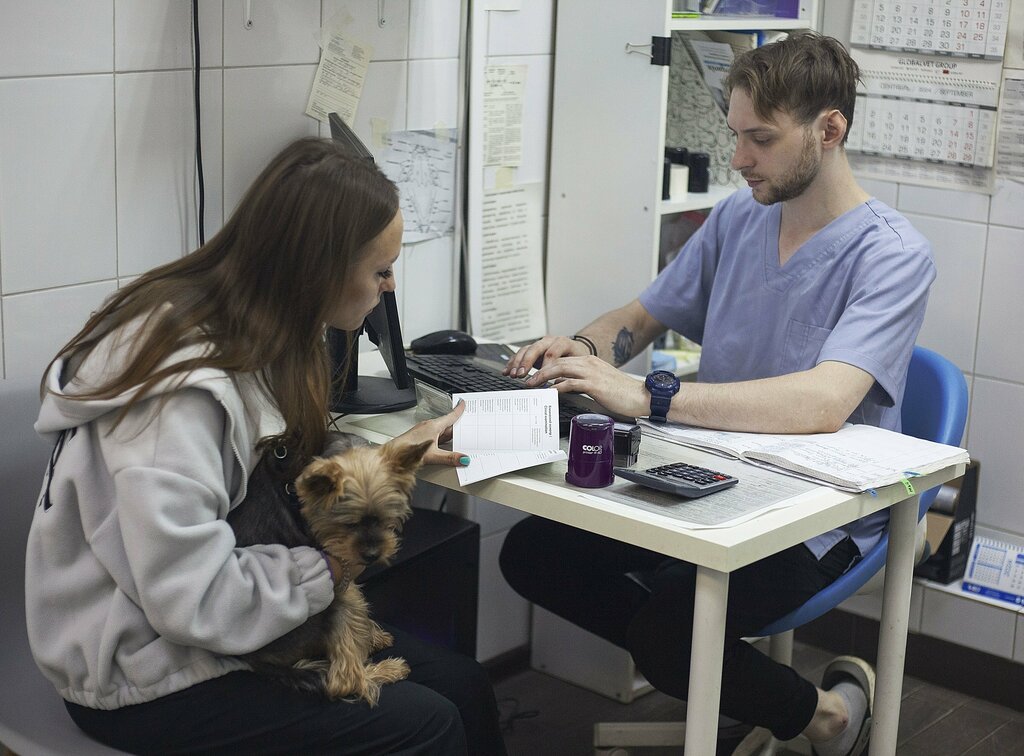 Veteriner klinikleri Ветеринарный госпиталь интенсивной терапии и тяжелых состояний, Moskova ve Moskovskaya oblastı, foto