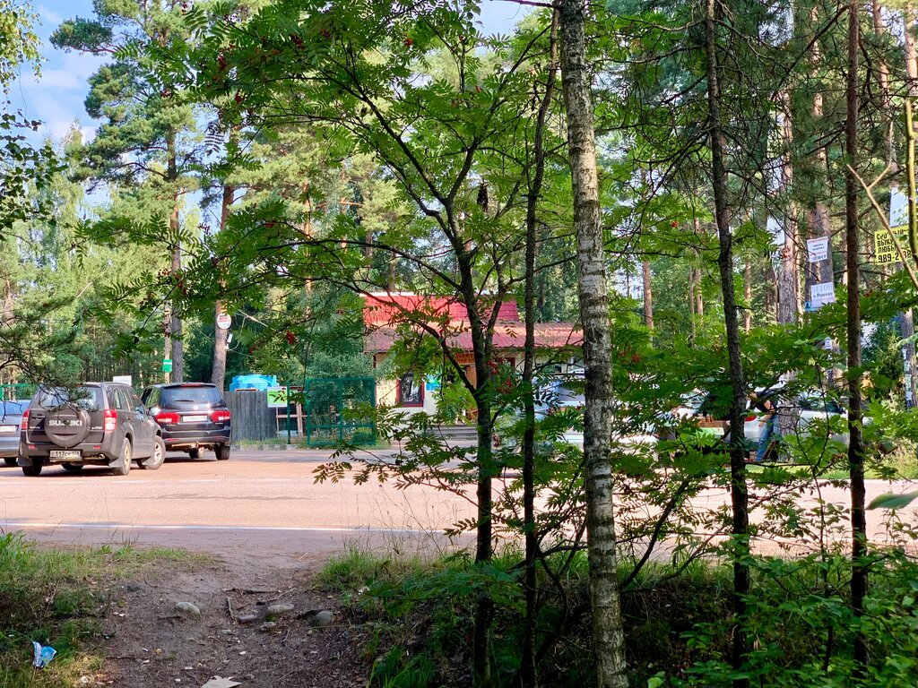 Otoparklar Parking lot, Saint‑Petersburg ve Leningradskaya oblastı, foto
