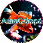 AkvaSfera (ulitsa 60 let Oktyabrya No:111), akvaryumlar  Krasnoyarsk'tan