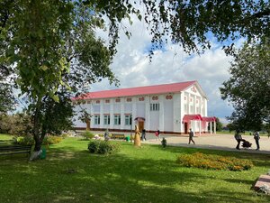 Tsentr natsionalnoy kultury V s. Staraya Terizmorga (Tsentralnaya ulitsa No:97, selo Staraya Terizmorga), kültür merkezleri  Mordovya'dan