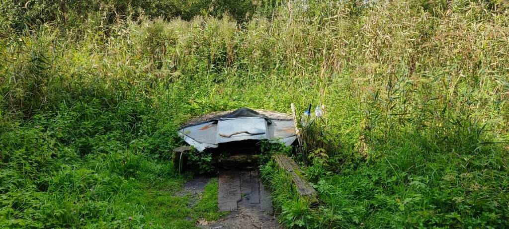 Pınar, çay Spring, stream, Tverskaya oblastı, foto