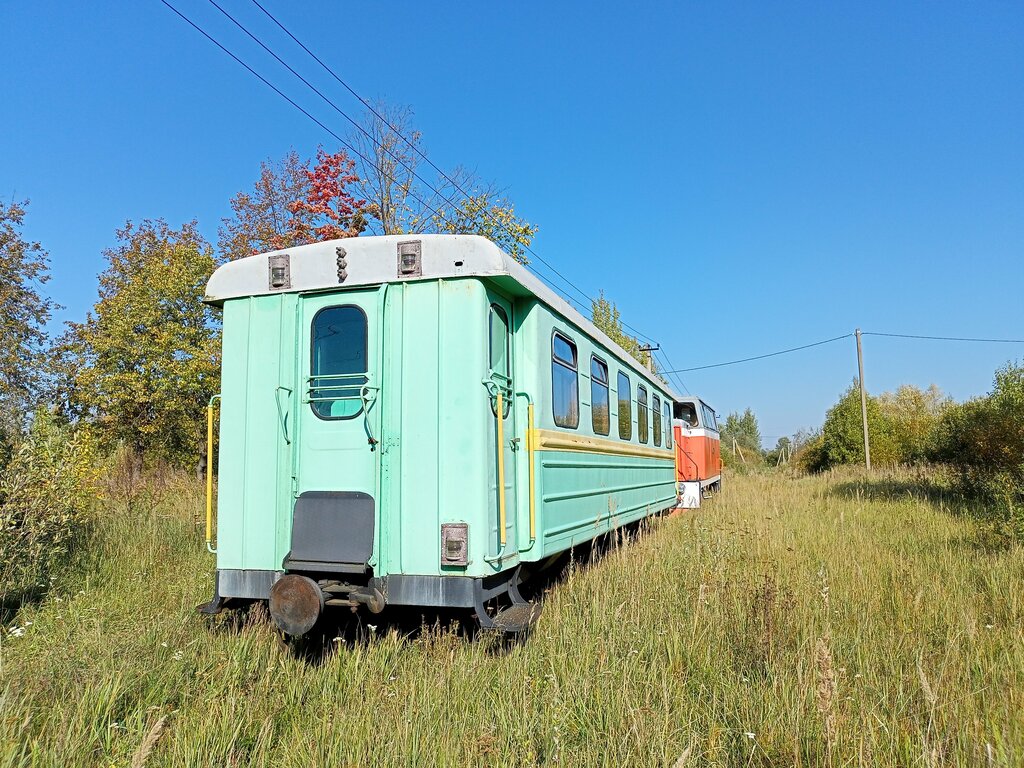 Yük istasyonu Центральный посёлок, Novgorodskaya oblastı, foto