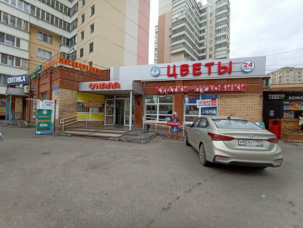 Çiçekçiler Cveterika, Perm, foto
