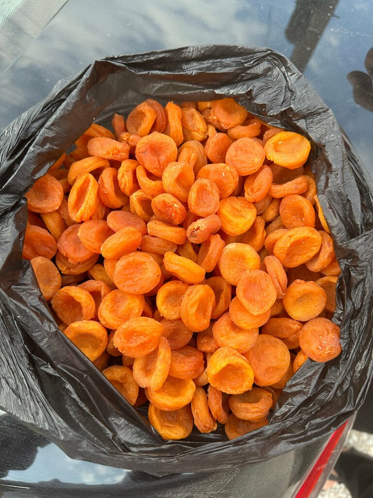 Kuruyemiş, atıştırmalık, kuru meyve Сухофрукты мира, Şahty, foto