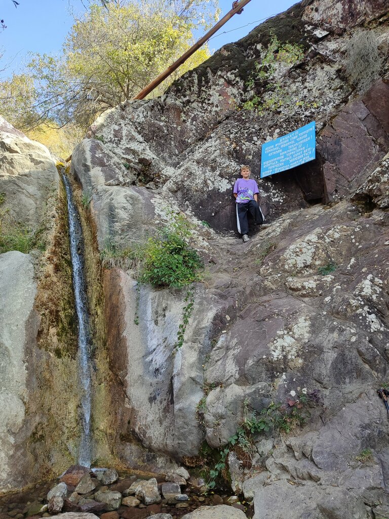 Turistik yerler Tree house, Taşkent eyaleti, foto