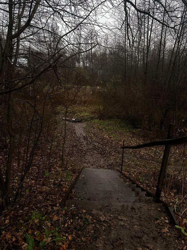 Pınar, çay Spring, stream, Moskova ve Moskovskaya oblastı, foto