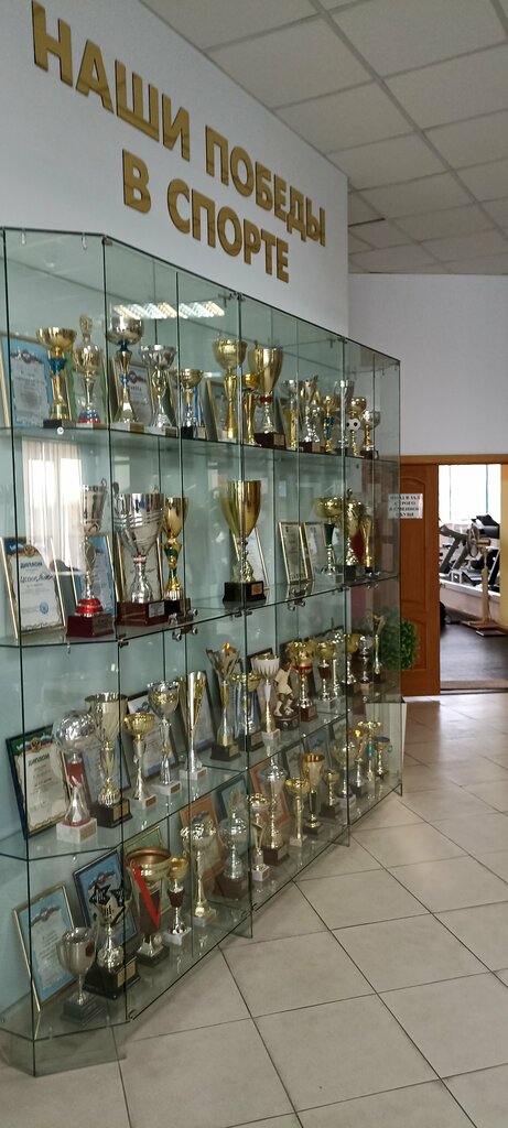 Çok amaçlı spor tesisleri Физкультурно-оздоровительный комплекс центра Лидер МЧС России, Moskova, foto