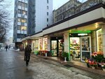 Magazin Stilnyye tsvetochki (Leninskiy Avenue No:111А), çiçekçiler  Kaliningrad'dan