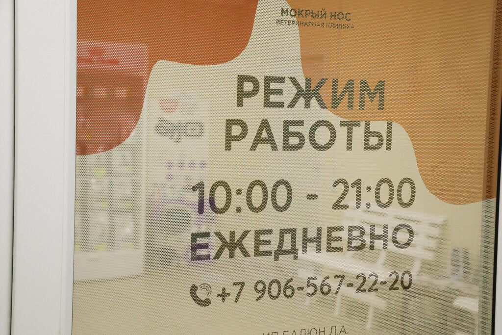 Veteriner klinikleri Mokryj Nos, Belgorodskaya oblastı, foto