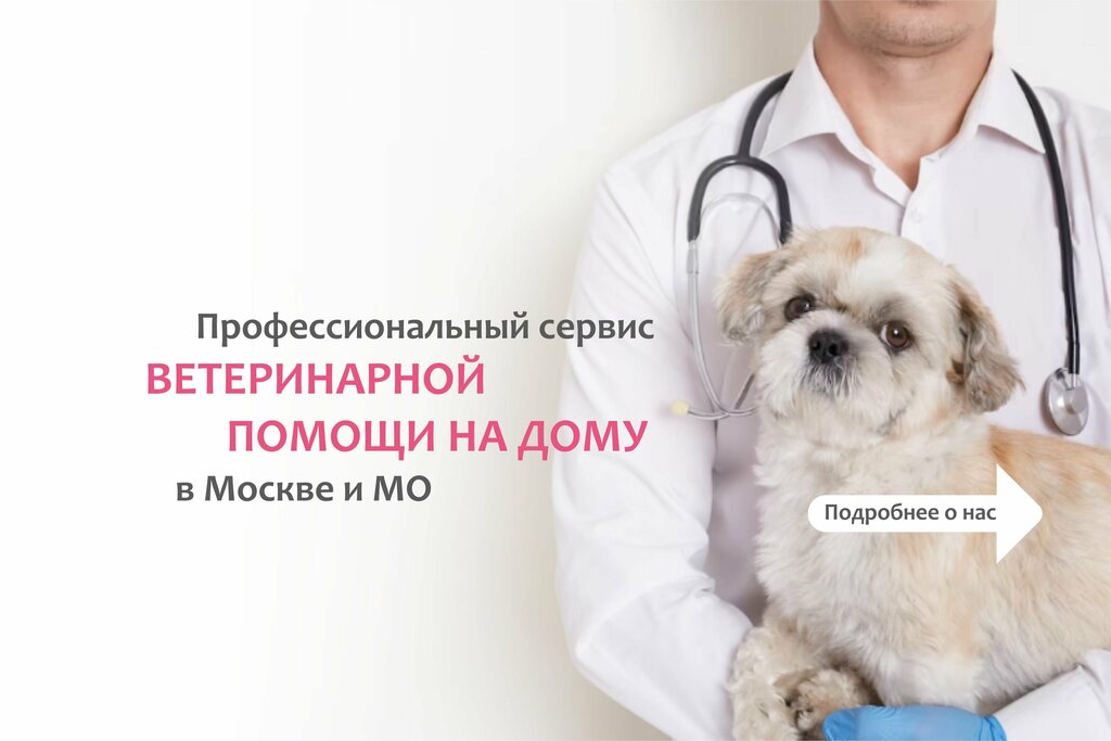 Veteriner klinikleri Centr Veterinarnyh Yslyg, Moskova, foto