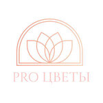 PROFlowers (ulitsa Radishcheva No:2), çiçek teslimatı  Almetyevsk'ten (Elmet'ten)