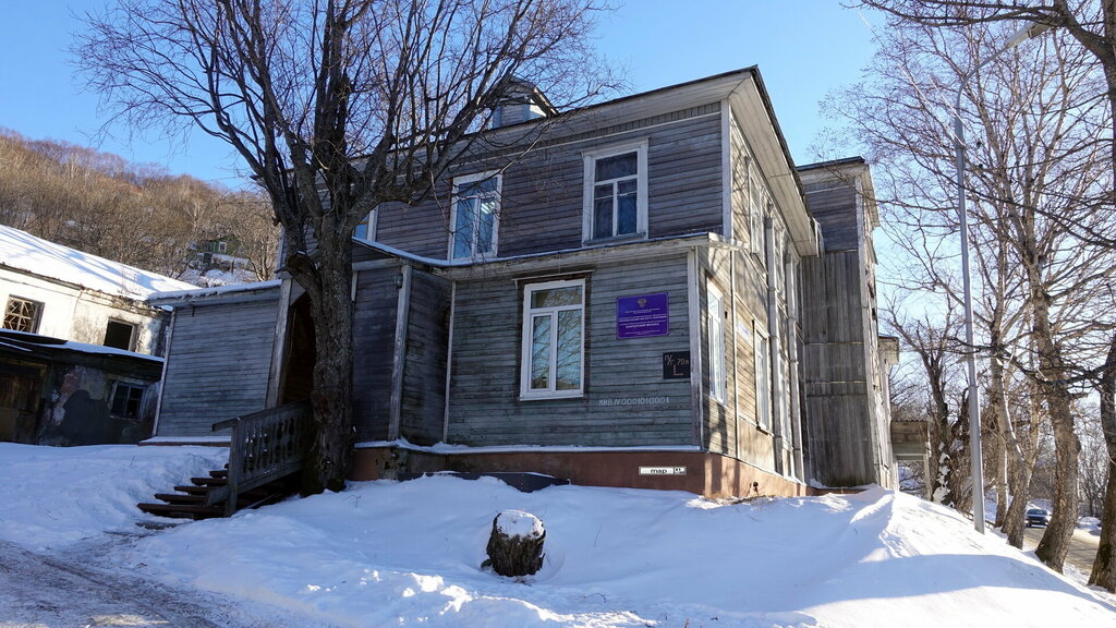 Bilim araştırma enstitüsü Ran, Kamchatsky filial Tikhookeanskogo instituta geografii, Petropavlovsk, foto