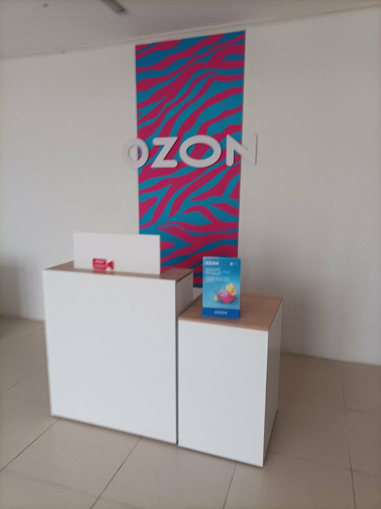 Oto yıkama Saryzhaz, Almatı eyaleti, foto