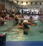 Swimtastic (Morrin Road No:77), yönetim ofisi  Auckland'dan