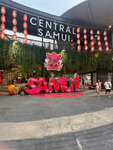 Central Festival (Surat Thani, City of Ko Samui, Samui Island), alışveriş merkezleri  Samui'den