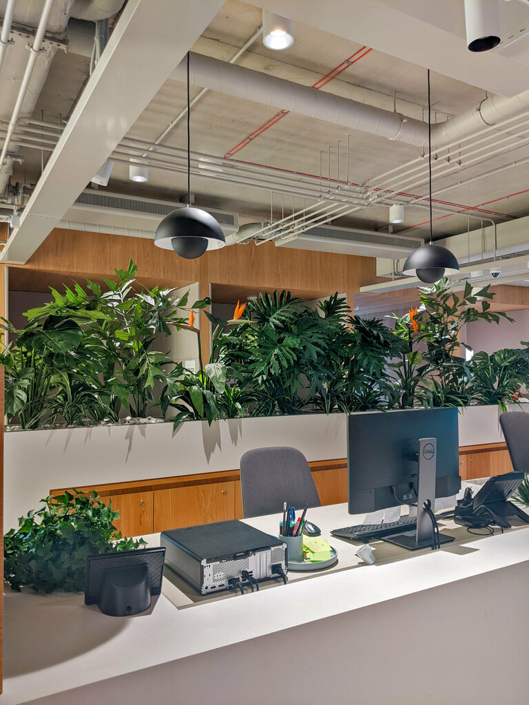 Çevre peyzaj hizmetleri Florus, Krasnoyarski krayı, foto