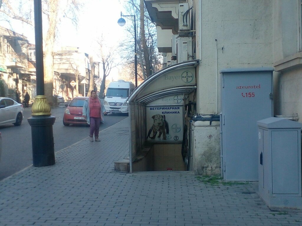 Veteriner klinikleri Bayer, Bakü, foto
