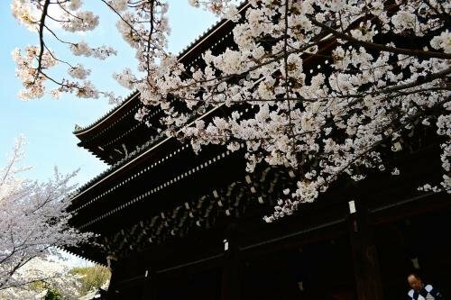 Otel Kyoto Miyabi Inn -Only one group a day-, Kyoto, foto