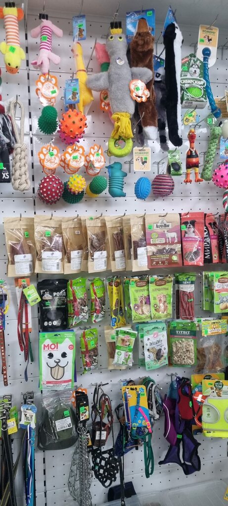 Petshop Zoo центр, Krasnodarski krayı, foto