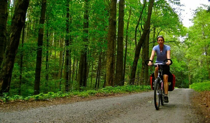 Bisiklet kiralama Прокатофф, Peterhof, foto